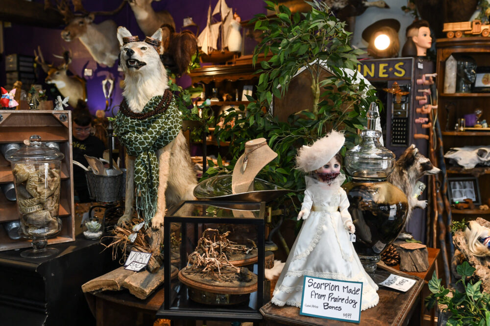 Uncovering Oddities and Curiosities at The Room of Lost Things - OUT FRONT
