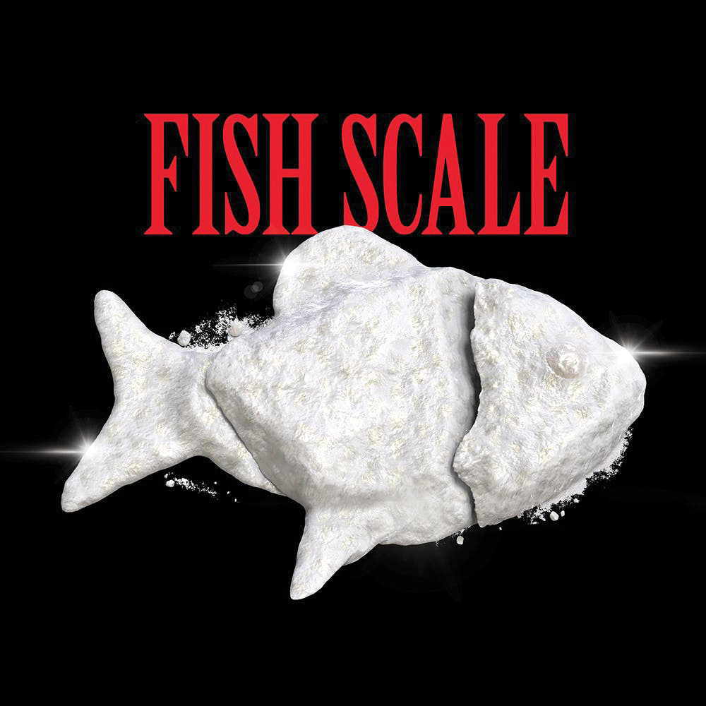 Cookies_Fish Scale_Graphic copy - OUT FRONT