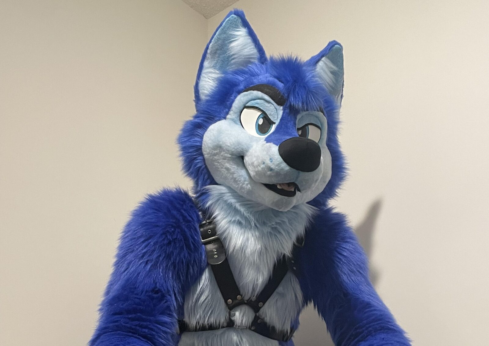 A Fandom Tail: The Furry Community Unites Freedom with Fantasy