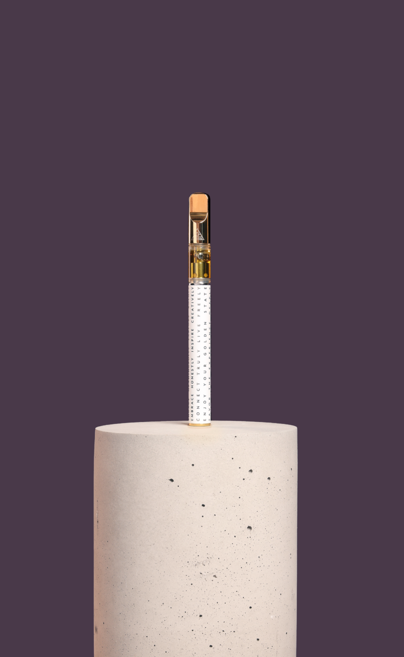 The Treat Yourself Guide - OUT FRONT