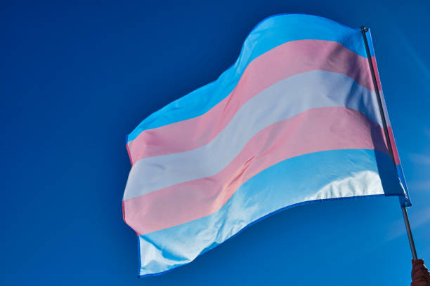 Lady Gaga Trans Flag 1 - OUT FRONT