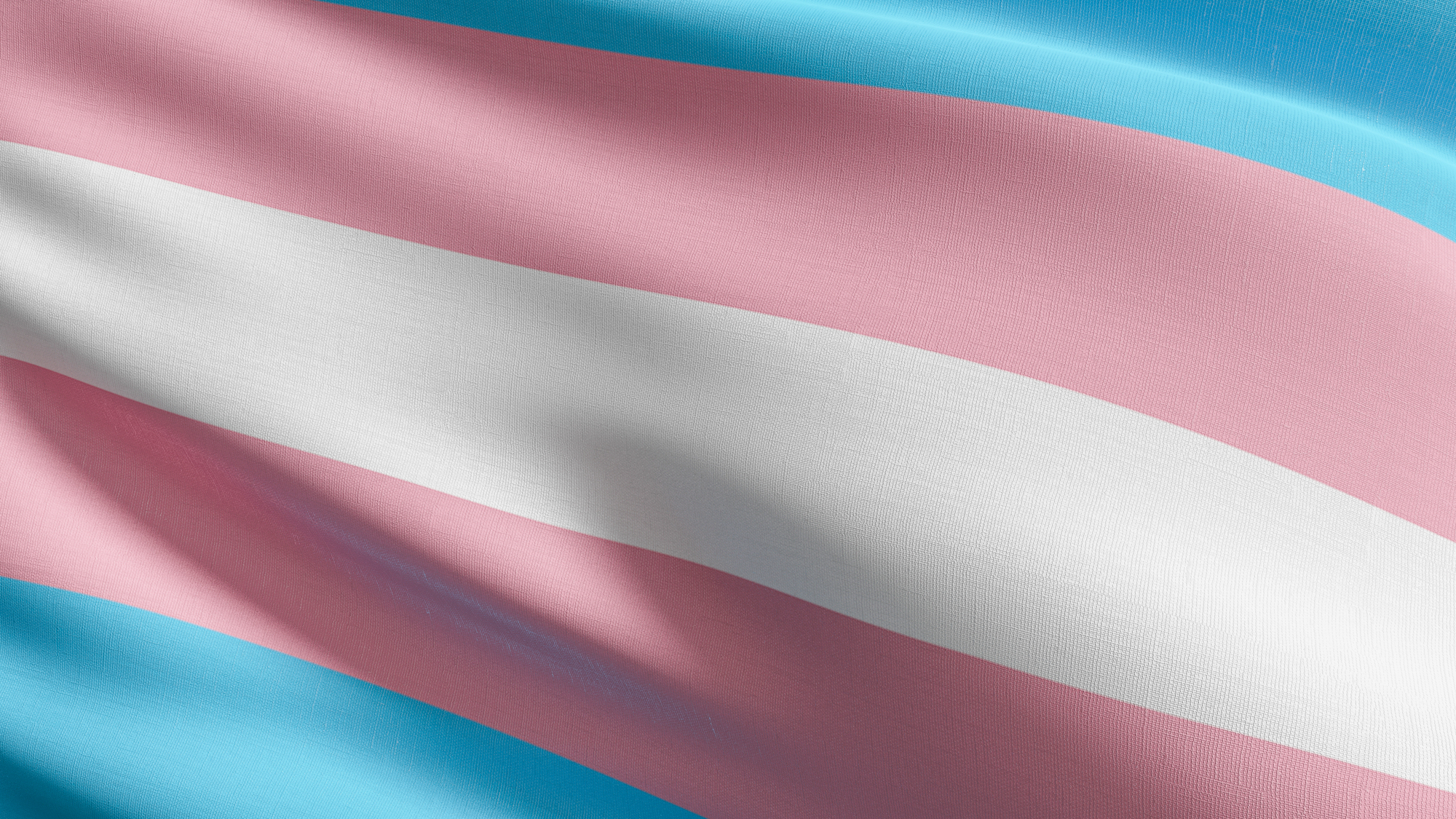 Trans Flag Creator Plans to Leave the US
