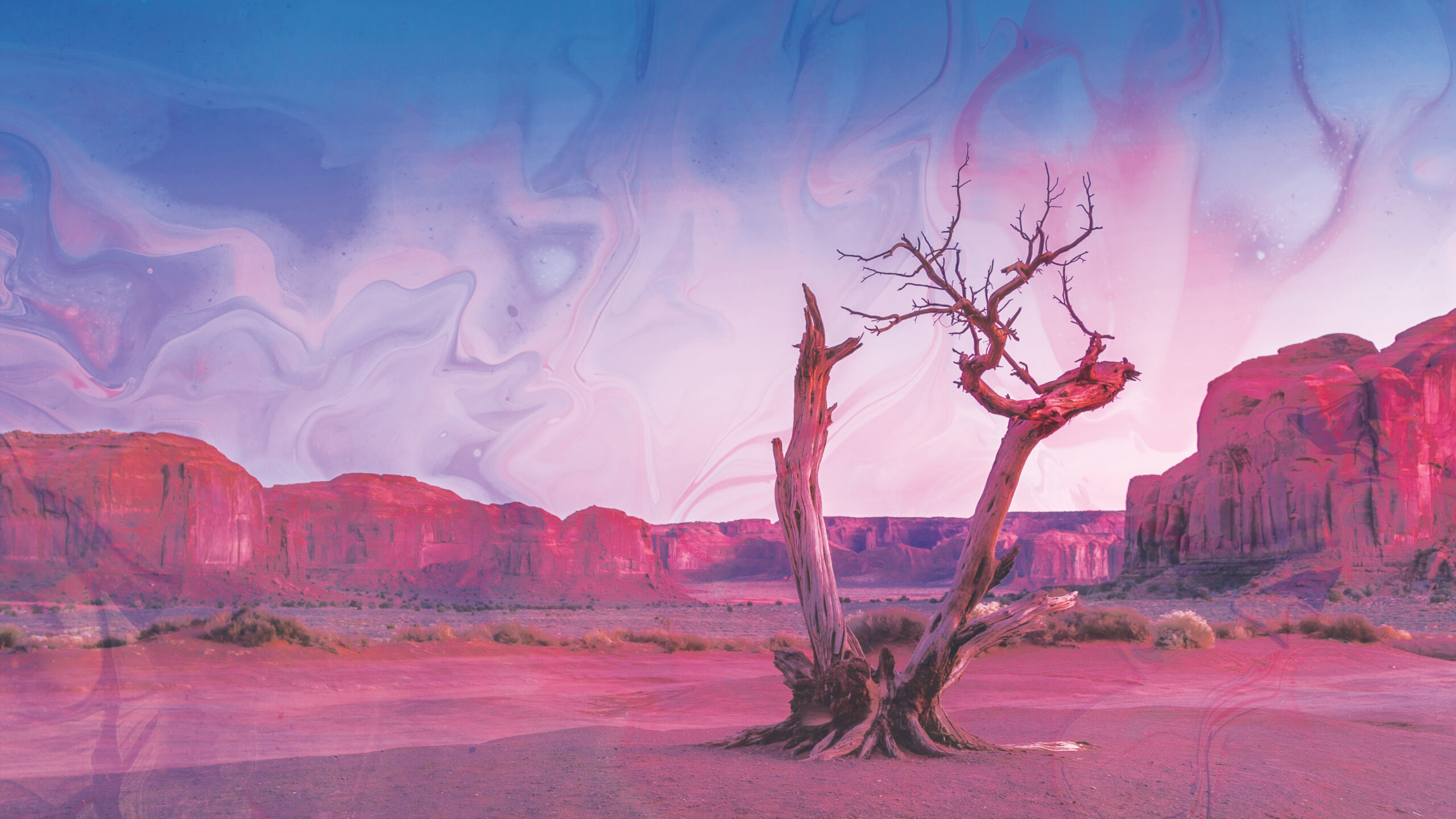 Jasika Nicole: Reinventing Representation - OUT FRONT